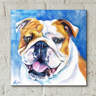 Red Barrel Studio® 'Live Color Fully English Bulldog' by Lindsay Kivi Acrylic Glass Wall Art ...